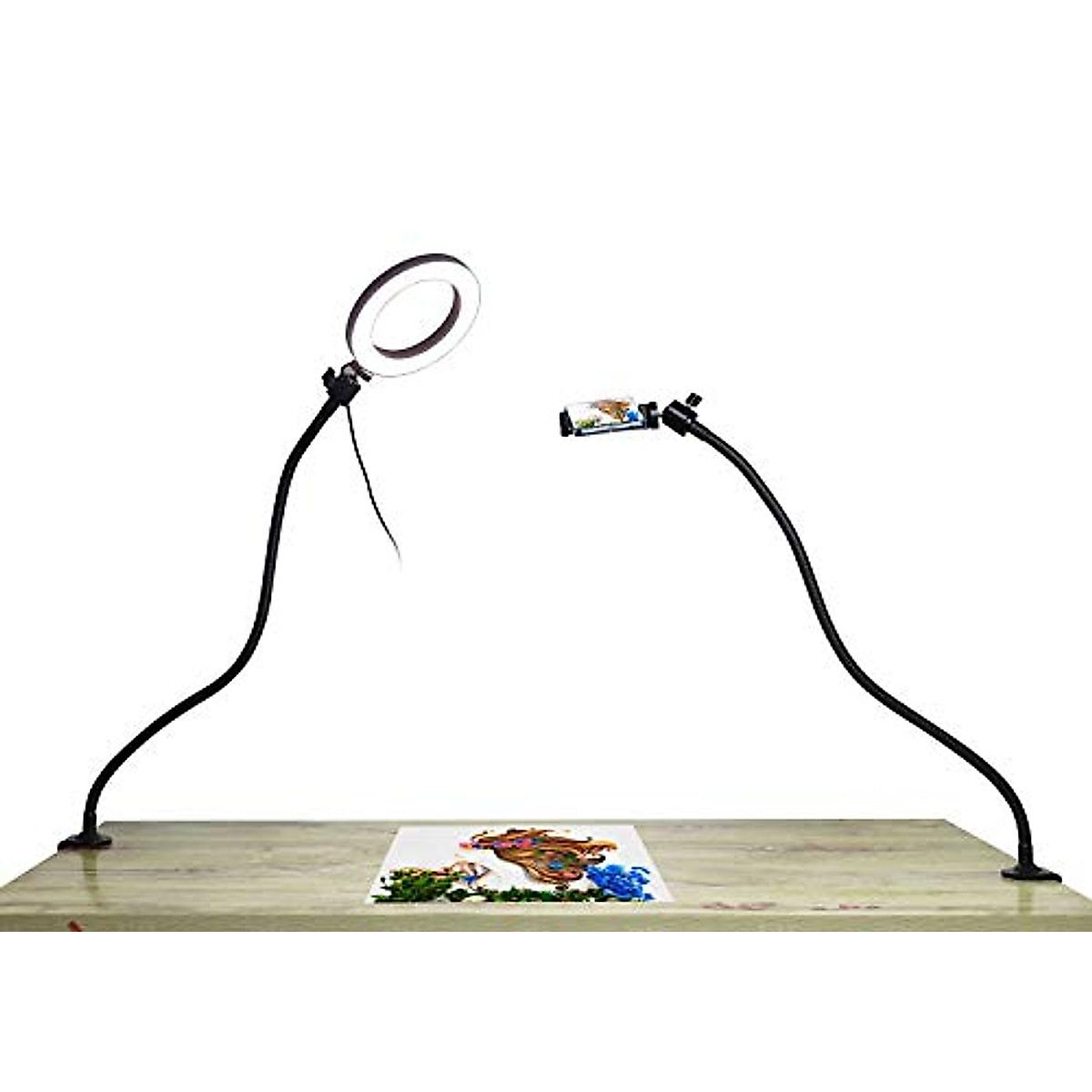 Webcam Streaming Light, Webcam Stand with 6'' Ring Light, USB Webcam Light Mount Kit for Logitech Webcam C920s C920 C930e C922x C930 C922 C925e C615 Brio - Dual 25 inch Arm Stand