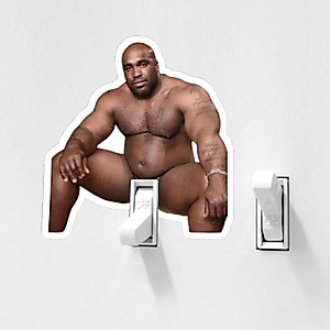 10pcs Funny Barry Wood Light Switch Sticker Decals, Waterproof Vinyl Prank Joking Wall Stickers for Living Room, Car, Laptop Skins, Skateboard, Computer, Tumblers, Phone, Bumper (10Pcs)