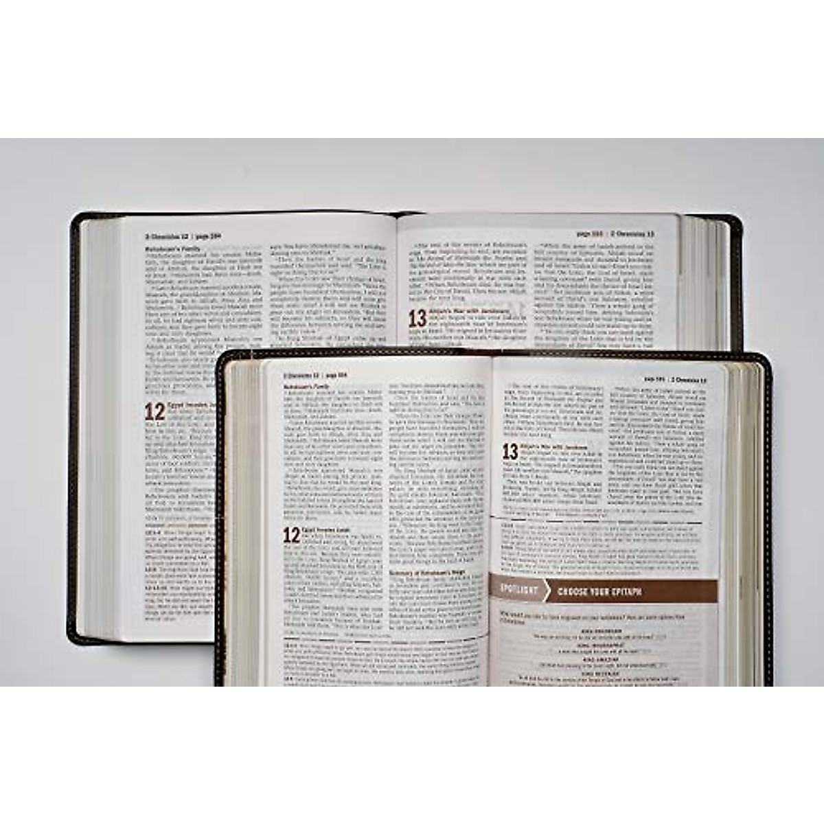 Every Man's Bible: New Living Translation, Large Print, TuTone (LeatherLike, Brown/Tan) – Study Bible for Men with Study Notes, Book Introductions, and 44 Charts