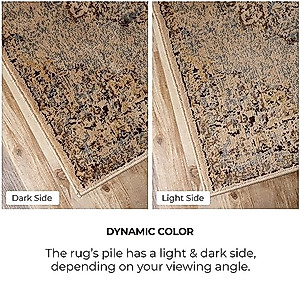 SUPERIOR Indoor Area Rug or Runner, Traditional Distressed Medallion Floor Decor, Home Accessories for Living Room, Bedroom, Office, Kitchen, Dining, Soft Plush Rugs, Maeve Collection, 8' x 10'