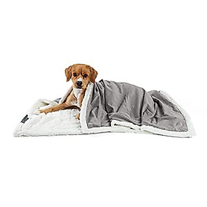 Best Friends by Sheri Premium Self-Warming Ilan Microfiber Faux Fur Pet Throw Blanket 40x50 in Grey