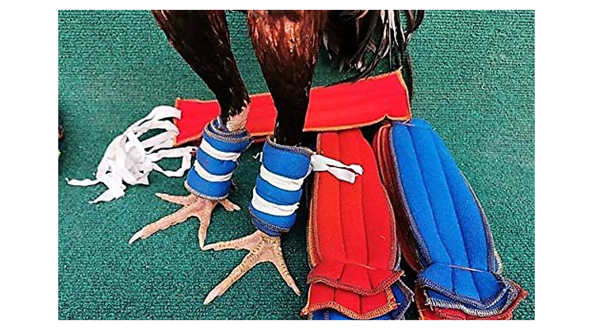 A.D.P. Rooster Booster Gloves for Fighting Chickens