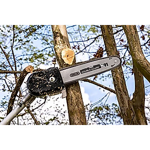 Sunseeker 10-Inch Pole Saw with 30-Inch Shaft Universal Attachment, Articulating Pole