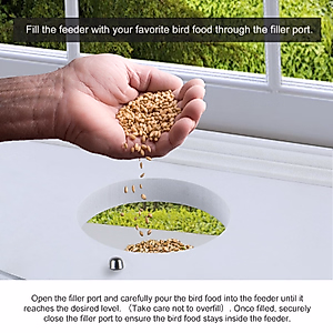 POOKULA Window Bird Feeder, 180° Clear View Bird Feeder, Durable and Elegant in-Window Bird Feeder for Watching Birds - Embrace The Delight of Bird Feeder.