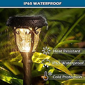 LeiDrail Solar Pathway Lights Outdoor with Glass Stainless Steel 2 Modes Bright Landscape Lighting Waterproof Cool White/Warm White for Yard Garden Sidewalk Lawn Driveway (8 Pack)