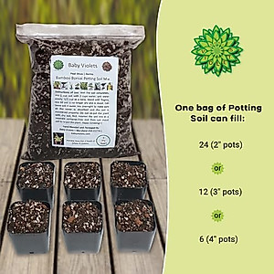 Bamboo Bonsai Plant Potting Soil Mix Peat Moss & Perlite (½ Gallon / 2 quarts). Repot Ficus, Lucky Bamboo Soil