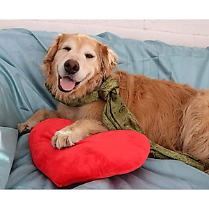 sunyou Cute Plush Red Heart Pillow Cushion Toy Throw Pillows Gift for Kid Friends/Children/Girl/Valentine's Day Fit for Living Room/Bed Room/Dining Room/Office and Sofa/Cars/Chairs (Heart)