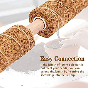 Moss Poles for Climbing Plants, 2 Pcs 12'' Coir Pole (Total 20'') with 4 Pcs Adjustable Plant Ties for Creepers Plant Support Extension, Climbing Plants Support Indoor