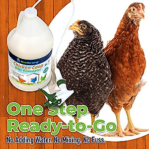 Eco Strong Chicken Coop Cleaner and Odor Eliminator, All Natural Deodorizer - Ready to Use - 128 oz w Sprayer