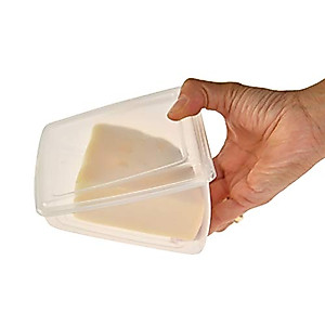 Home-X Oblique Plastic to-Go Container for Cheese Wedges, Cake, and Pie Slices