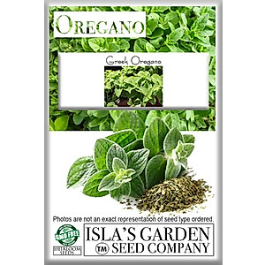 Greek Oregano Herb Seeds for Planting, 2500+ Seeds Per Packet, (Isla's Garden Seeds), Non GMO & Heirloom Seeds, Botanical Name: Origanum vulgare, Great Herb Garden Gift