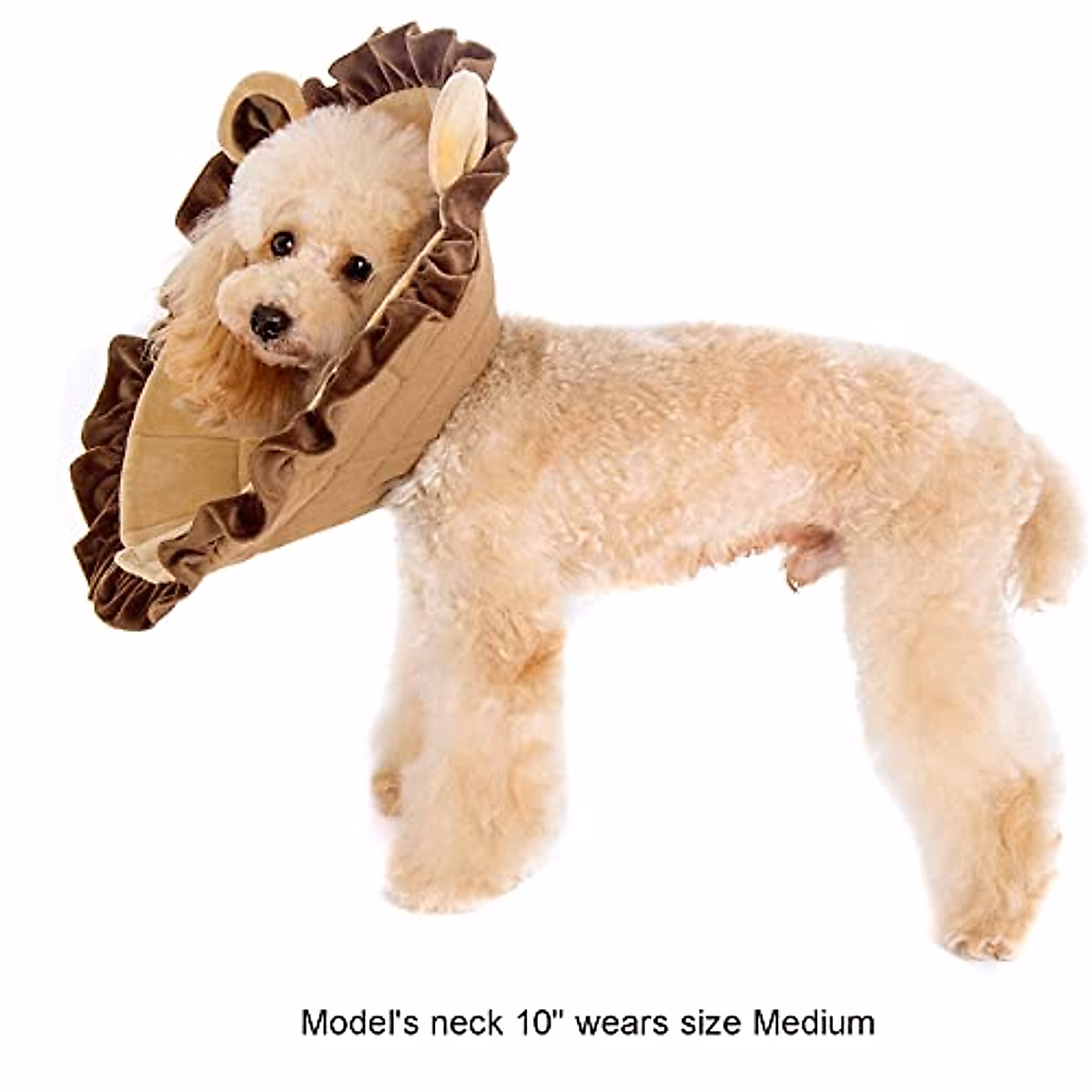 Alfie Pet - Noah Recovery Collar (for Dogs and Cats) - Pattern: Lion, Size: XS