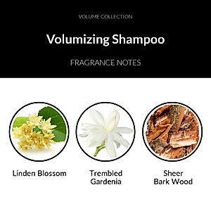 Number 4 Hair Shampoo for Women and Men, Volumizing Shampoo, 8.5 oz