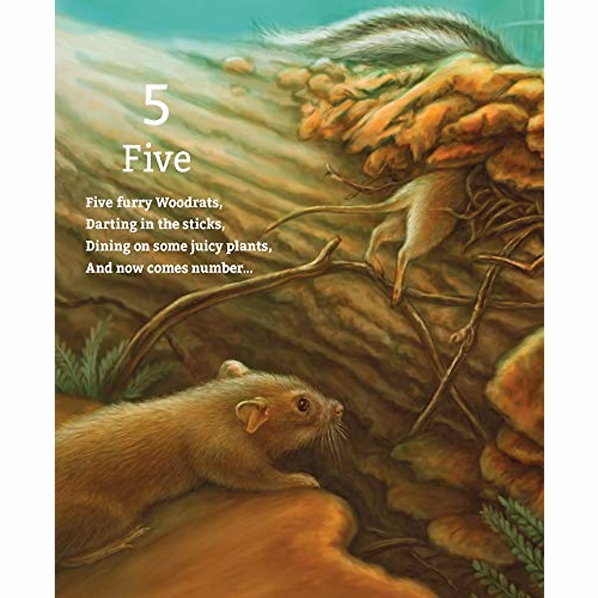 Tall Tall Tree: A Nature Book for Kids About Forest Habitats (A Rhyming Counting Book with STEAM Activities)