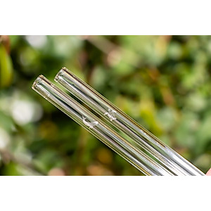 HALM Glass Straws - Earth Day Charity Edition - 6 Reusable Drinking Straws engraved with Endangered Animals - 20 cm (8 in) x 0.9 cm - Made in Germany - Dishwasher Safe - Eco-Friendly