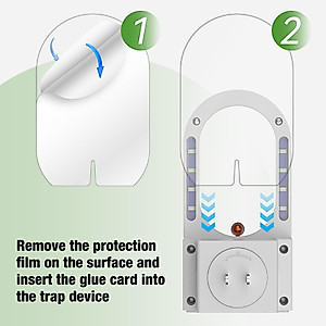 Fruit Fly Traps for Indoors, Plug in Fly Trap Indoor Bug Catcher with Double Sided Glue Card, Flying Insect Trap Gnat Traps for Mosquito, Flies, Fruit Flies, Moths, Gnats (1 Device + 5 Refills)