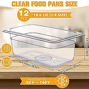 Hoolerry 12 Packs Plastic Food Pan 1/4 Size Commercial Food Storage Containers Pans Clear Stackable Restaurant Hotel Pans for Kitchen Fruits Vegetables Beans Corns (3.9 Inches Deep)