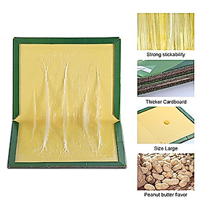 Kensizer 12-Pack Mouse Rat Glue Trap, Super Sticky Adhesive Glue Board Traps for Mice Rats Catches Indoor&Outdoor, Trampas para Ratones, Extra Strength Heavy Duty Large Size Pads