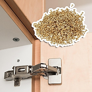 RDEXP Yellow Iron Hardware Flat Head Wood Screw Self Tapping Screws (2 x 6mm)