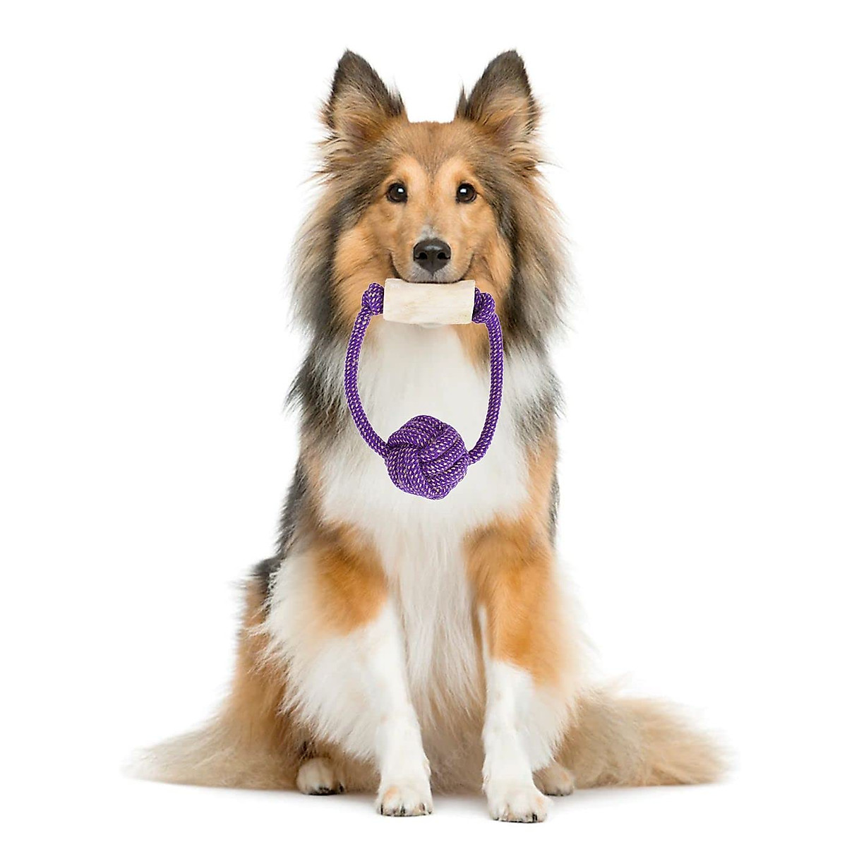 Crazy Tails Dog Chew Rope Toy for All Puppy Breeds Toys for Teething Small Dogs-Ring Ball with Bone