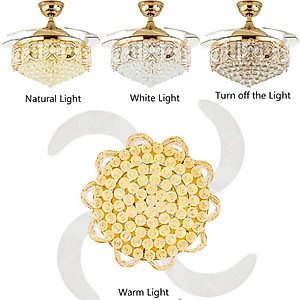 Lighting Groups 42 Inch Invisible Ceiling Fan with 3-Color Changing Light Remote Control Retractable Blades Fandelier for Living Room Dining Room Reversible Ceiling Fan with Indoor Lights (Gold)