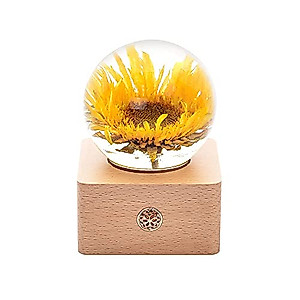 MISS LI GARDEN Night Light Dimmable Warm Light, Touch Sensitive Lamp for Home Bedrooms Dining Room Kitchen Living Room Bedside Farmhouse Country Style House Decoration(1.Sunflower)