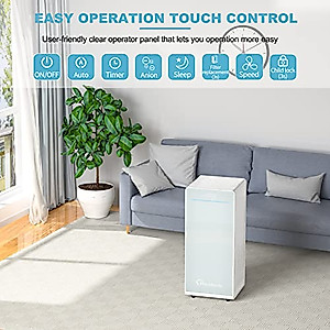Hepa Air Purifiers for Home Large Room 1500 Sq.Ft, Hestom H13 whole Home Air Purifier, Quiet Room Air Filters for Pet, Auto Mode, Speed Control, Sleep Mode, AQI Display,White