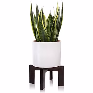 Plant Stand Indoor Outdoor, Mid Century Plant Stand for Indoor Plants, Wood Modern Plant Holder Rattan Flower Plant Stool, Low Short Boho Rustic Planter Stand, Fit 5-15 Inch Pot…