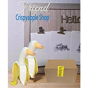 Tellme 2 PCS Banana Duck Statues, Creative Whimsical Garden Art Resin Sculptures, Cute Ducks Gnomes Decor for Room, Porch, Office, Home, Funny Outdoor Naughty Banana Ornament, Personalized Gifts.