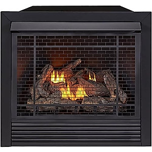Duluth Forge Dual Fuel Ventless Gas Fireplace Insert, Remote Control, 9 Fire Logs, Use with Natural Gas or Liquid Propane, 32000 BTU, Heats up to 1500 Sq. Ft., Black