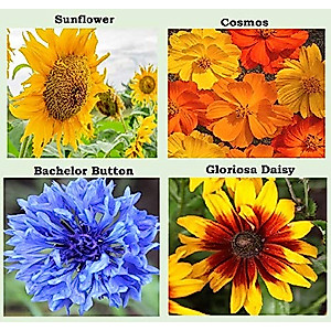 25 Heirloom Flower Seed Packets for Planting: 20+ Varieties Flower Seeds - Forget Me Not, Sunflower, Marigold, Zinnia Lilliput, Snapdragon, Hummingbird & Butterfly Wildflower Seeds and More