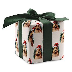 Watercolor Hamster Gerbil Guinea Pig Xmas Gift Wrap Premium Thick Wrapping Paper Capybara Animal Theme Merry Christmas Rodent Party Decor (6 foot x 30 inch roll)