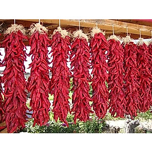 Hatch Red Chile Medium 30 Seeds - Sweet Hatch Flavor with Some Heat - Non-GMO