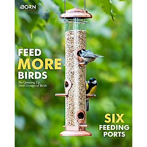 iBorn Metal Bird Feeders Brushed Copper Wild Bird Feeder for Outdoors Hanging All Metal Brushed Copper Finishing 14 Inch 6 Port(Seed is not Included)