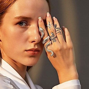 GRAEEN Snake Ring Vintage Snake Knuckle Rings Statement Biker Stackable Ring Reptile Serpent Band Ring Jewelry for Women (Style B)