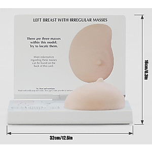 Silicone Breast Model Manikins Medical Teaching Soft Silicone Breast Model Pathological Single Breast Self-Examination Model with Benign Tumor Foreign Body