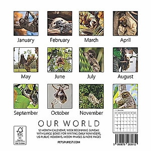 Our World Sloth Wall Calendar 2024 - Fun Family Planner & Daily Organizer with Monthly Cute Sloth Calendar Images - Slim Design 2024 Wall Planner - Great Gift for Animal Lovers