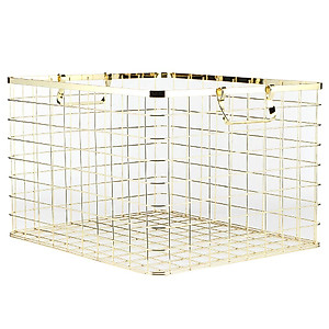 Keebgyy Stainless Steel Clothes Laundry Storage Basket, Laundry Hamper, Laundry Basket, with Handles Organizer Storage Basket Clothes Organizer Stainless Steel Basket for Kitchen Bedroom Gold