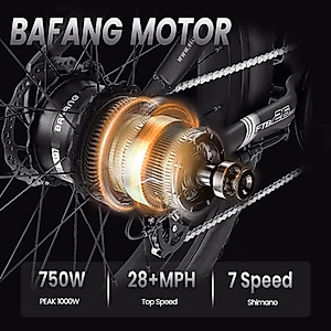 VELOWAVE Grace 2.0 48V 20AH Electric Bike for Adults 750W Bafang Motor Ebike with Fender Shimano 7-Speed 26" x 4.0 Fat Tire Step-Thru Electric Bicycle (Black/Grey)