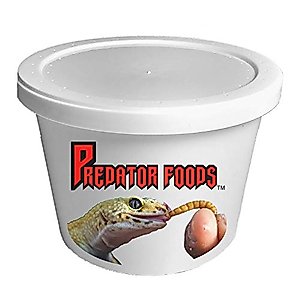 Predator Foods Bulk Live Mealworms - 1000 Count (Small - 0.25")