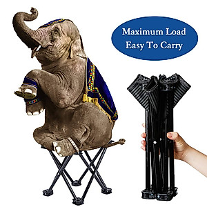 VeMee Compact Camp Stool, Mini Folding Stool, Folding Camping Stool, Folding Ultralight Portable Mini Outdoor Chair for Camping Fishing Hiking Picnic Gardening Beach Backpacking with Carry Bag