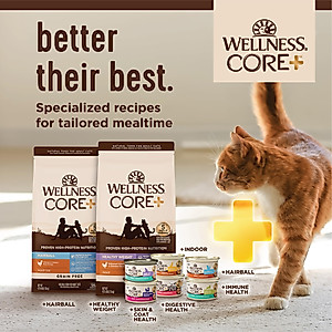 Wellness CORE+ Digestive Health Grain-Free Natural Wet Cat Food, Sensitive Stomach, Easily Digestible (Salmon Pate, 3 Ounce Can, 12 Pack)