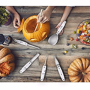 Fancymay Professional Halloween Pumpkin Carving Kit, Heavy Duty Stainless Steel Carving Tools Set for Halloween Decoration, Sturdy Sculpting Jack-O-Lanter Knife Set