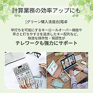 Casio Desk Calculator Type DF-120GT-N (Japan Import)