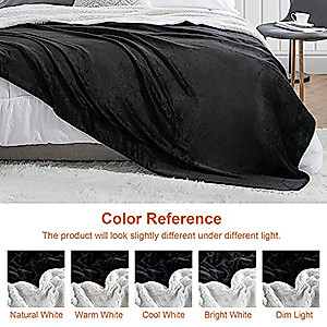 EHEYCIGA Sherpa Blanket Twin Size - Fuzzy Sherpa Fleece Blanket Twin Size Super Soft Plush Blanket, Thick Winter Blanket, Black, 60x80 Inches