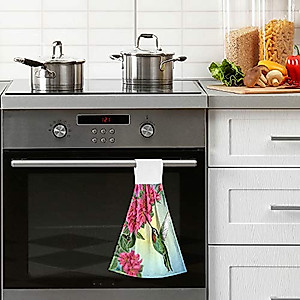 YYZZH Hummingbird Bird Floral Print Red Apple Flower Blue Sky Kitchen Hand Towels with Hook & Loop Set of 2 Absorbent Bath Hand Towel Hanging Tie Towel