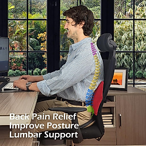POPIPEN Inflatable Lumbar Support Pillow for Office Chair and Car Seat, Back Support Cushion with Air Pump for Reducing Lower Back Pain