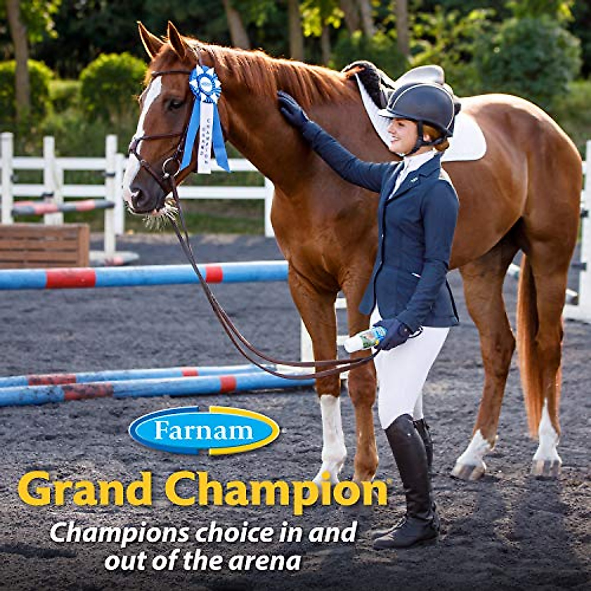 Farnam Grand Champion Fly Repellent for Horses, Plus Coat Conditioner for Show Ring Shine, 15-Ounce Non-Aerosol Spray Bottle (100528258)