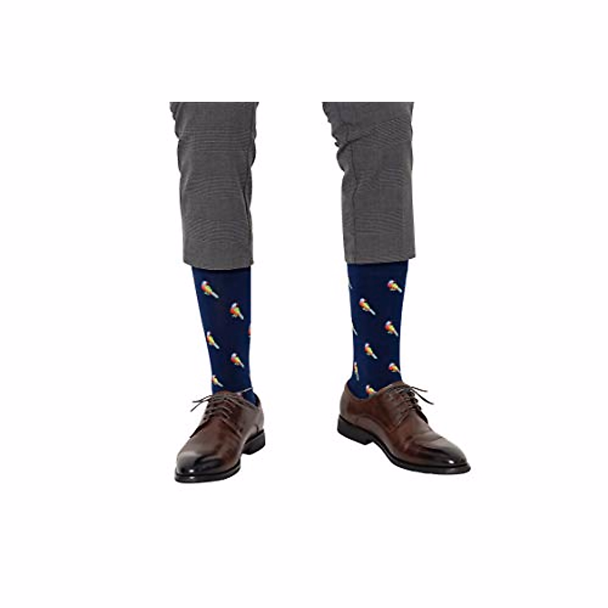 Parrot Bird Socks Mens Sock Animal | Parrot Socks for Him | Stocking Stuffer Birthday Gift for Guys (Red Parrot)