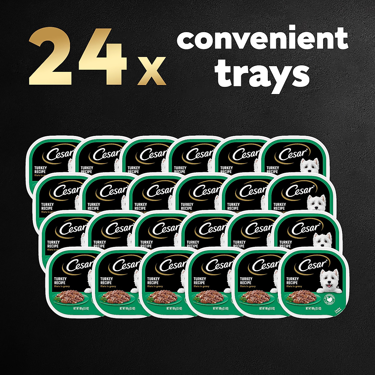 CESAR Soft Wet Dog Food Filets in Gravy Turkey Recipe, (24) 3.5 oz. Easy Peel Trays